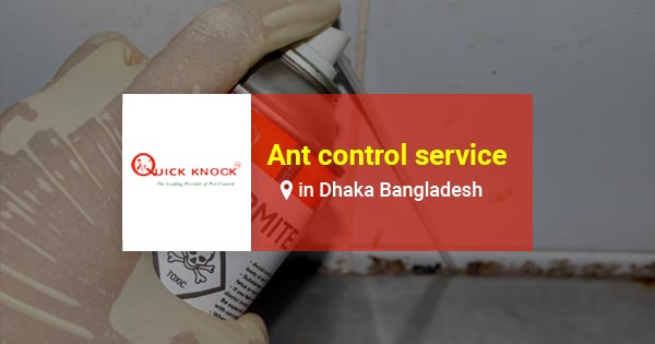 Ant control service in Dhaka, Bangladesh