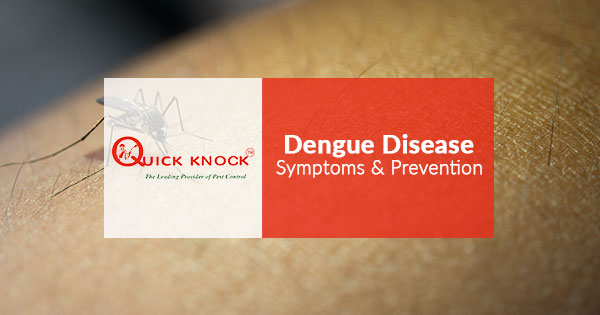 The Dangers of Dengue Disease - Its Symptoms & Ways of Prevention