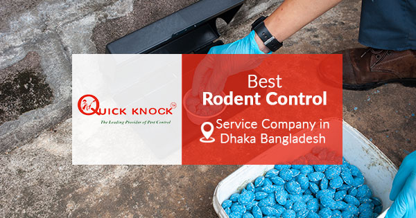 Best Rodent Control Service Company in Dhaka Bangladesh